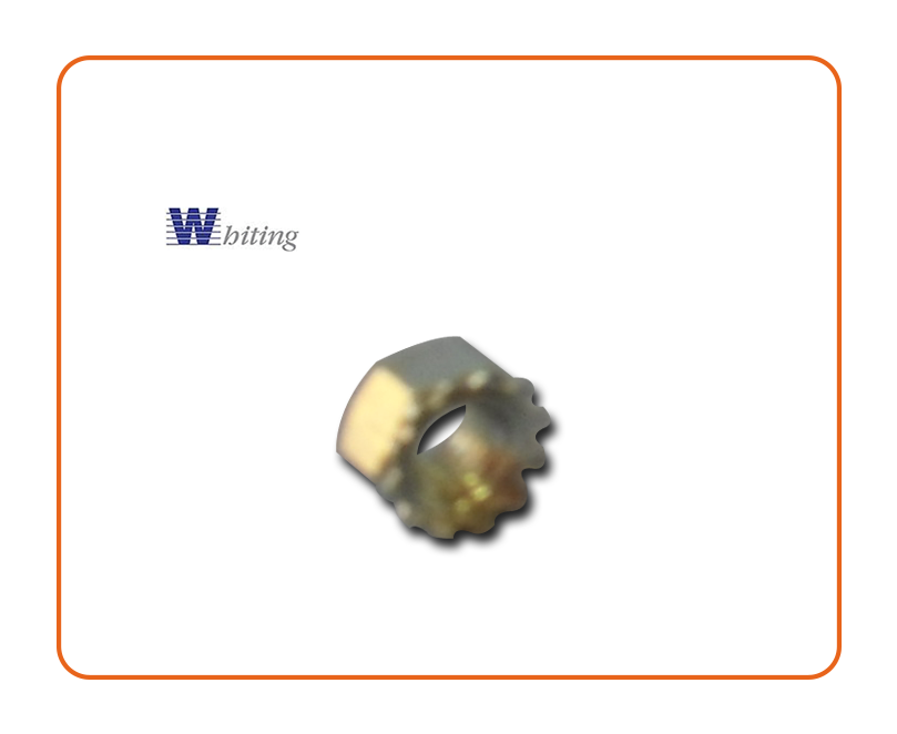 Nut | C and S Shutters